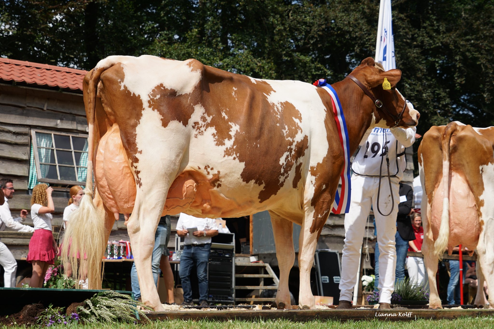 Over ons – Diamond Genetics