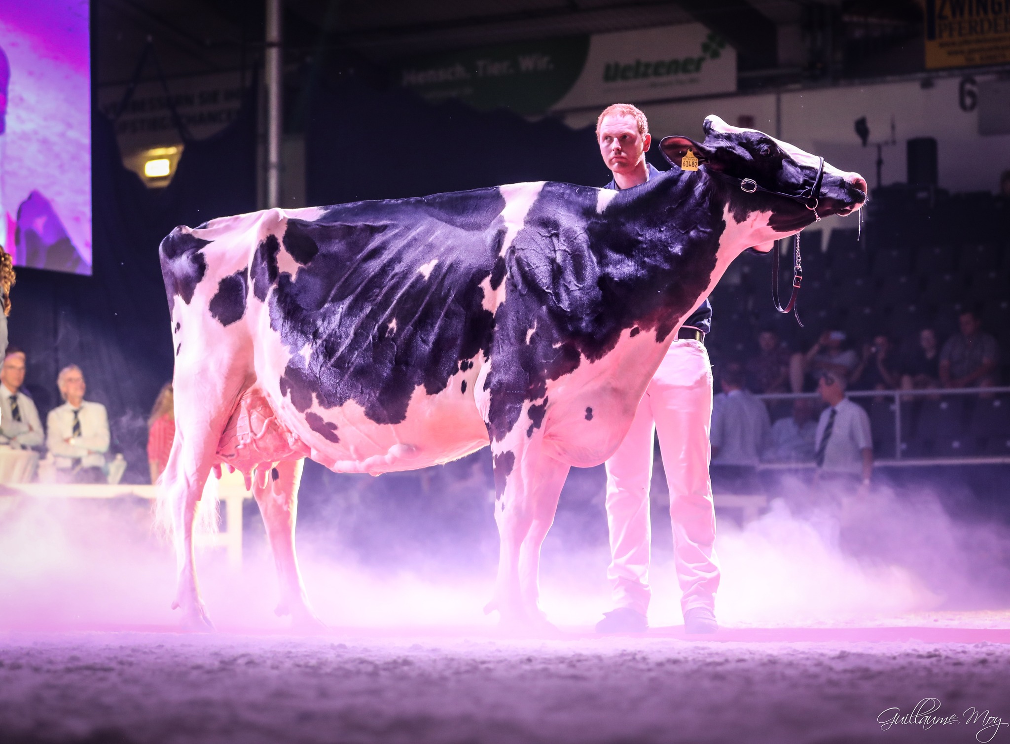 Over ons – Diamond Genetics