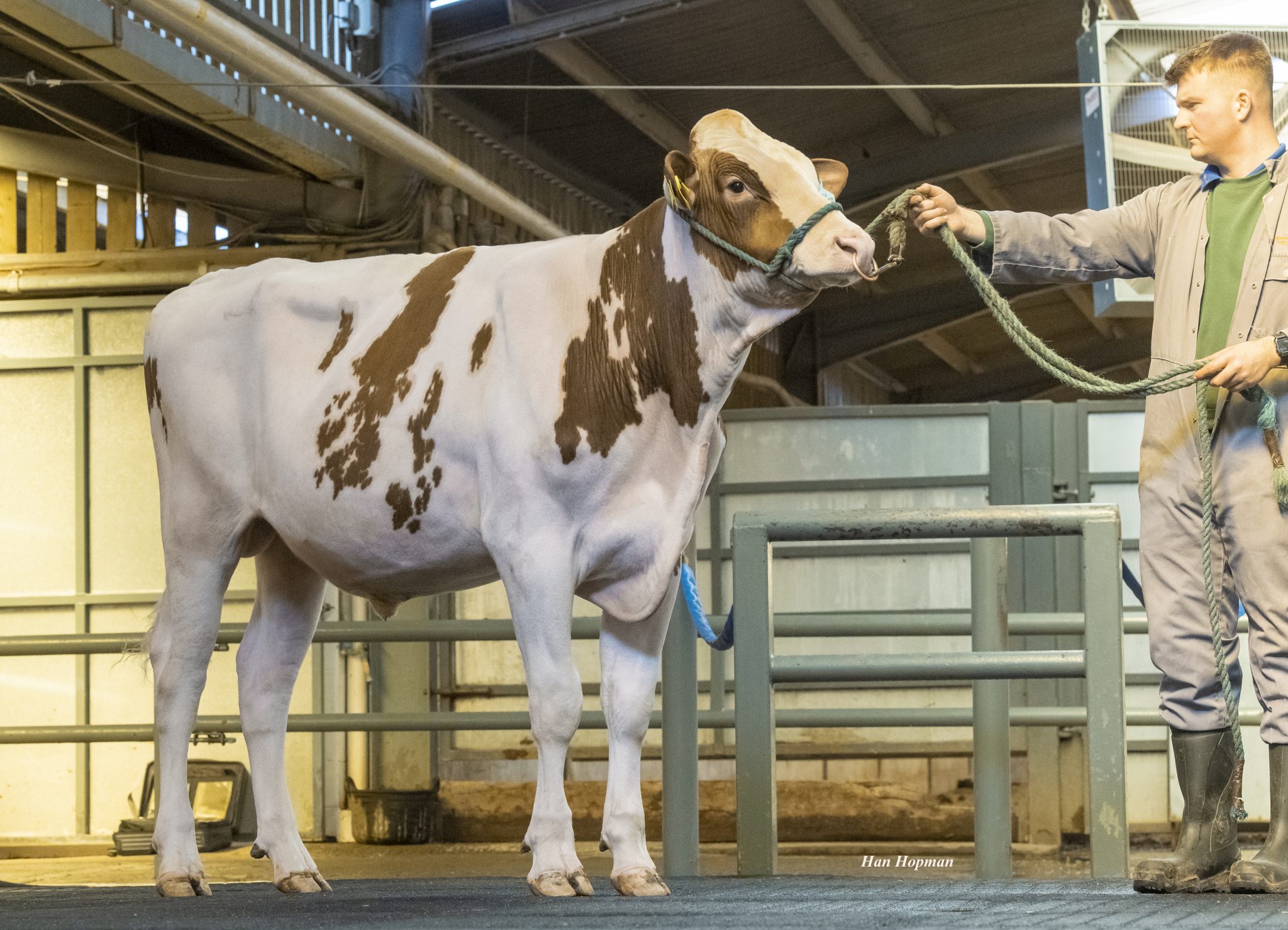 Over ons – Diamond Genetics